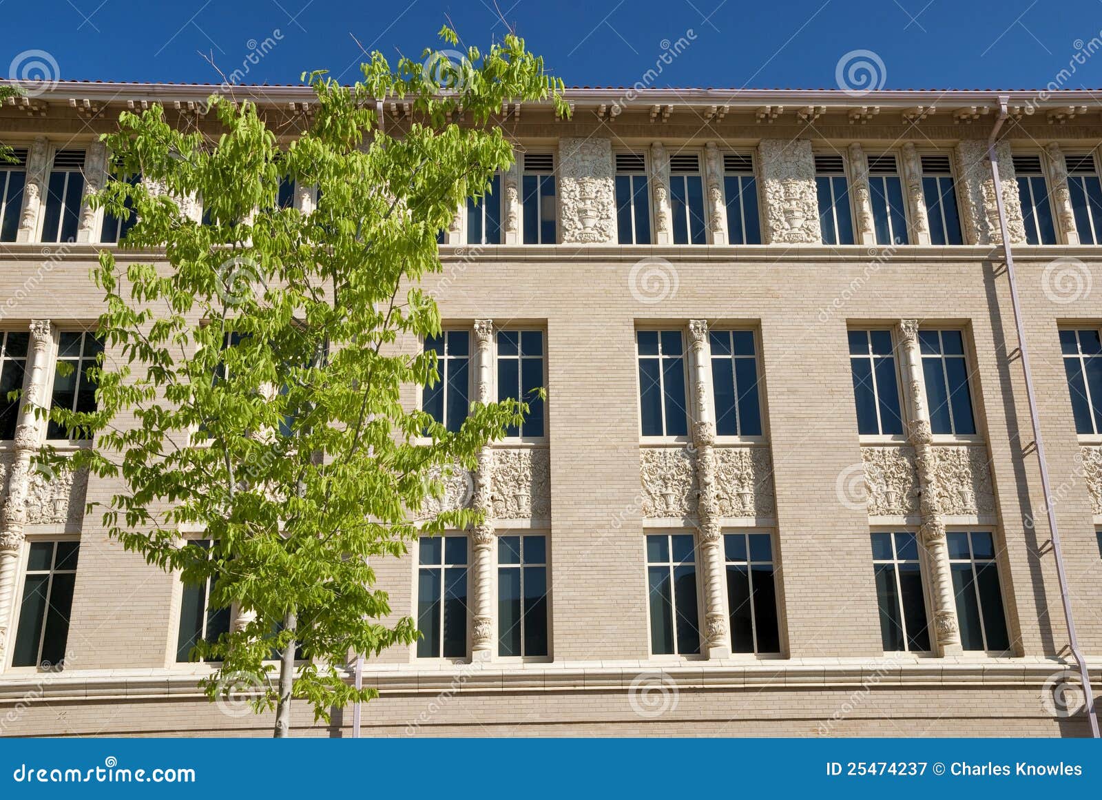 Side of a School Building with Windows Stock Image - Image of tree ...