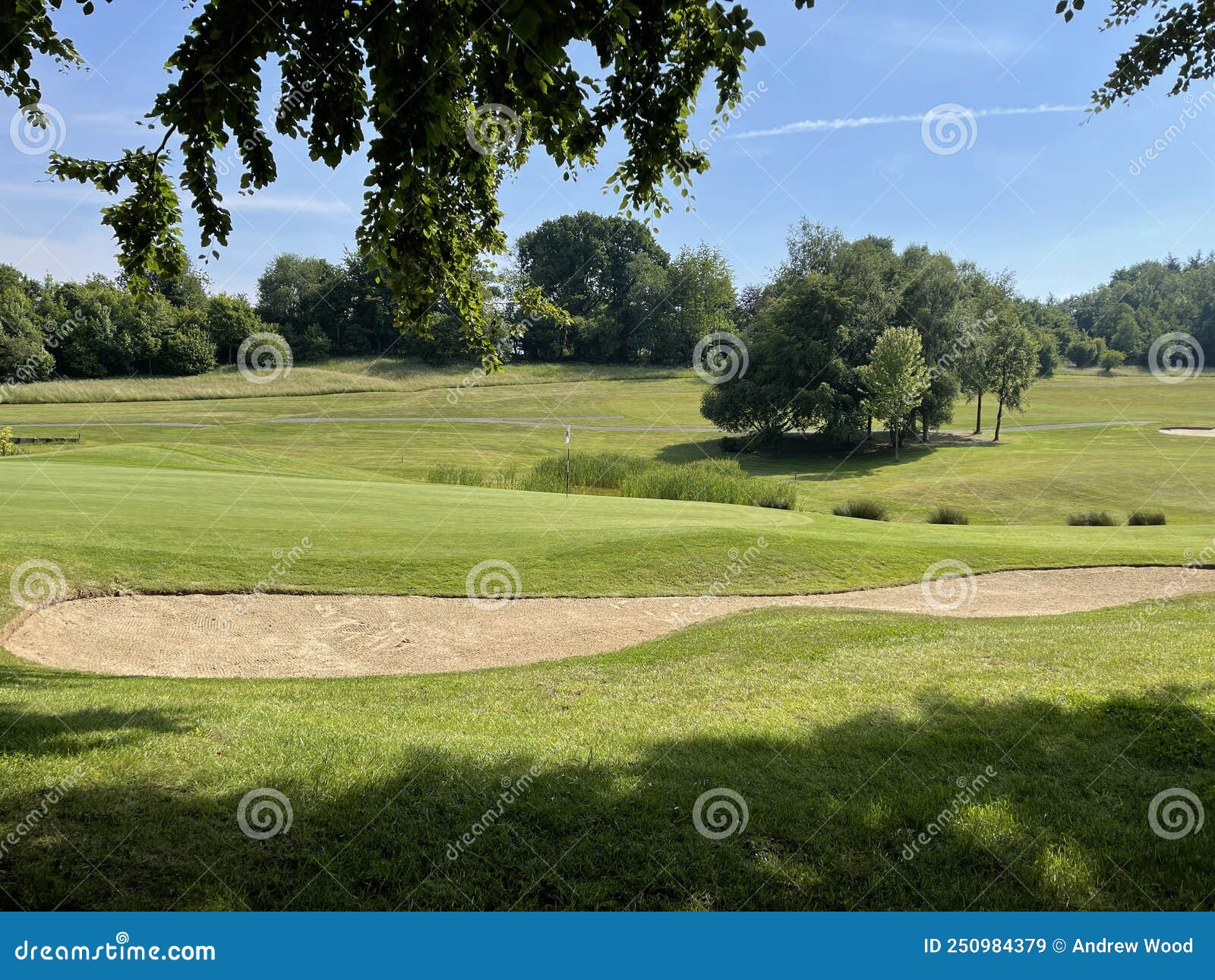 Side Shot of a Golf Green with a Bunker Stock Image - Image of ...