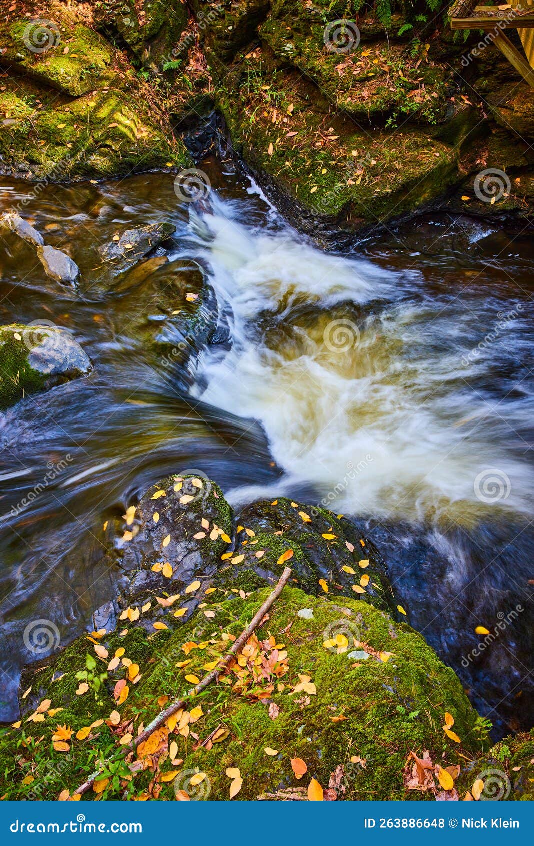 Side of Small Cascading Falls with Mossy Rocks Covered in Fall Leaves ...