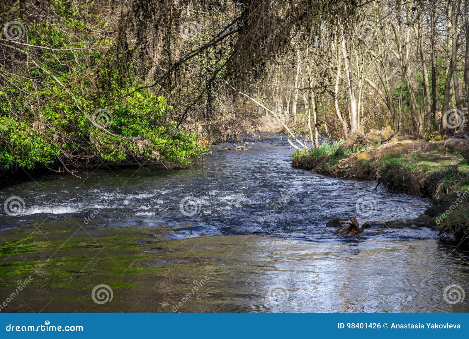 A Side Stream Of River Don In Seaton Park, Aberdeen Royalty-Free Stock ...