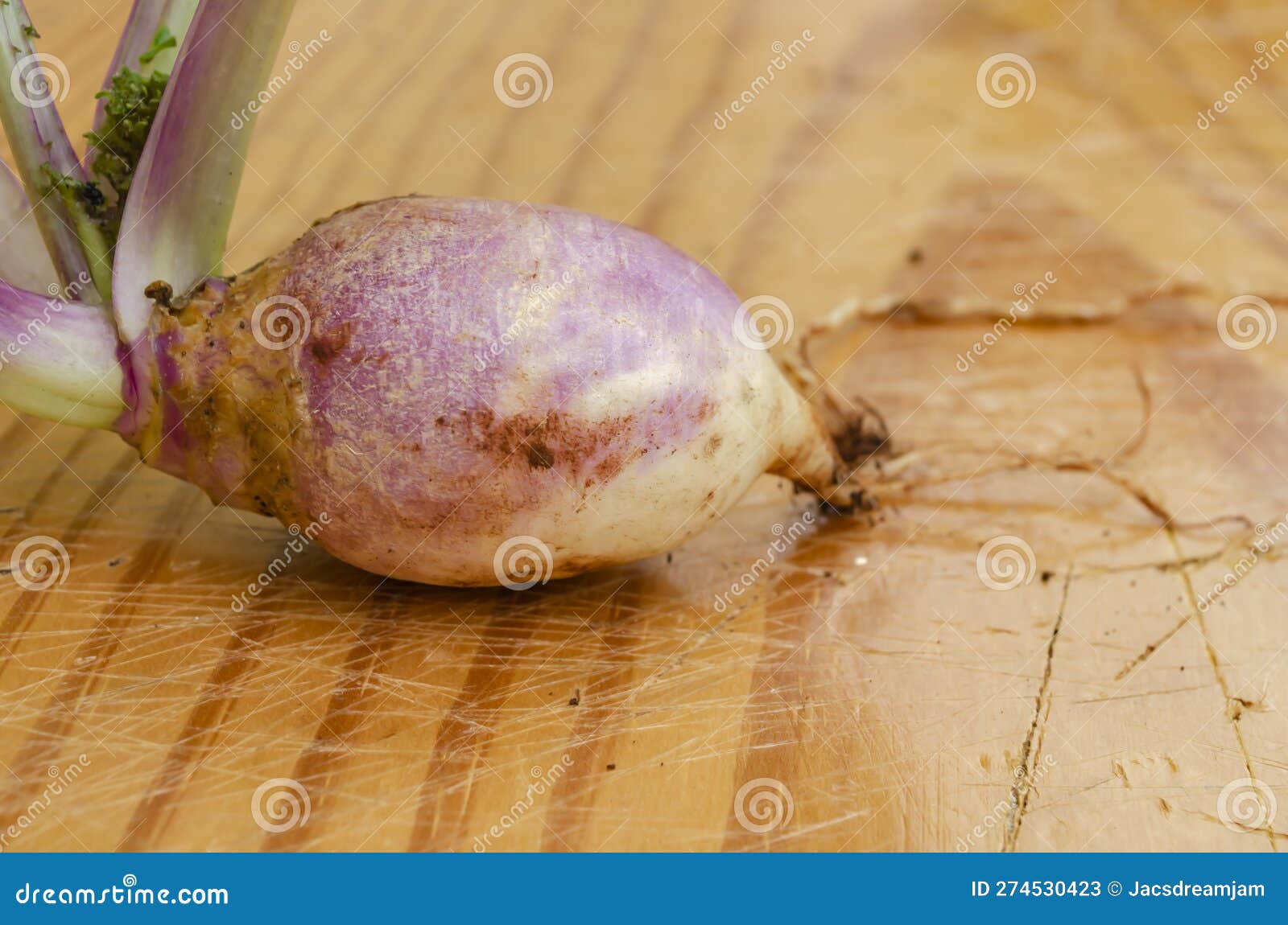 Side of Turnip stock image. Image of wood, ripe, brassicaceae - 274530423