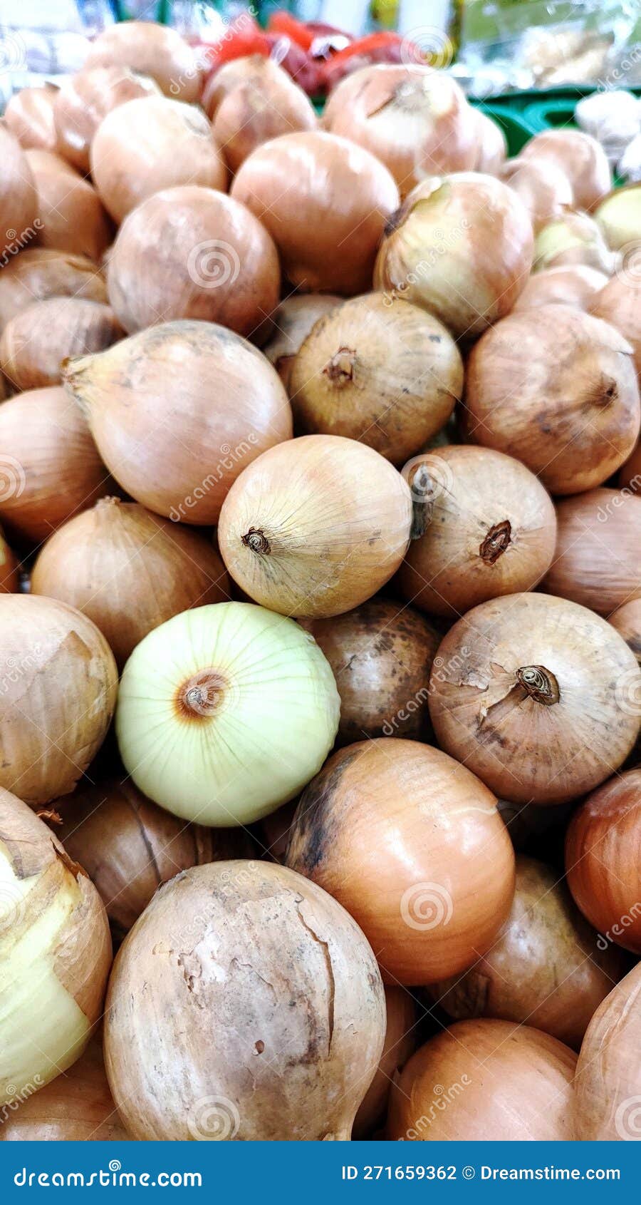 A Side Up View of the Piling Bombay Onions Stock Photo - Image of plant ...