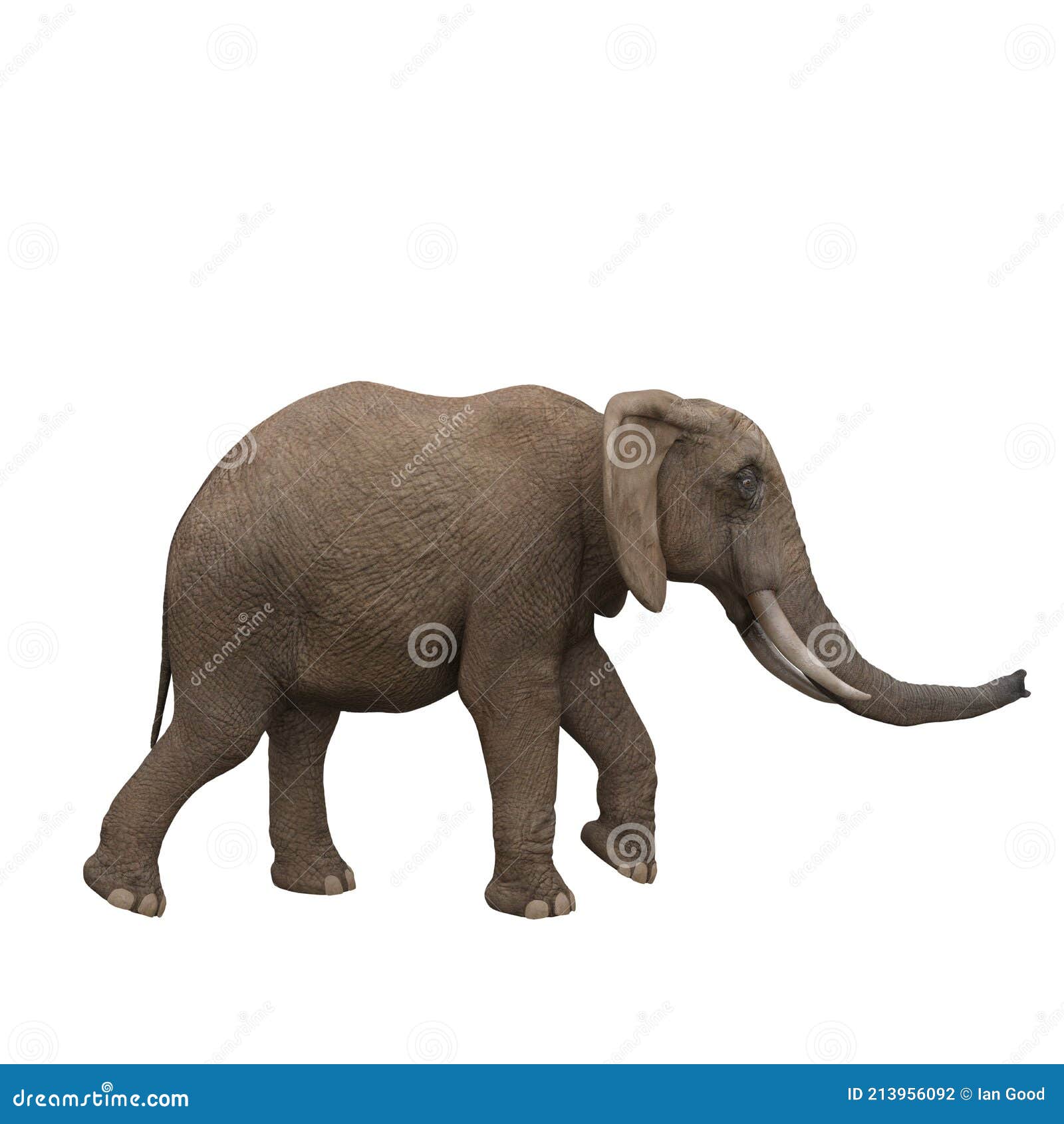 Man Walking Seen On X-ray With Pain In The Cervical Vertebrae Stock ...