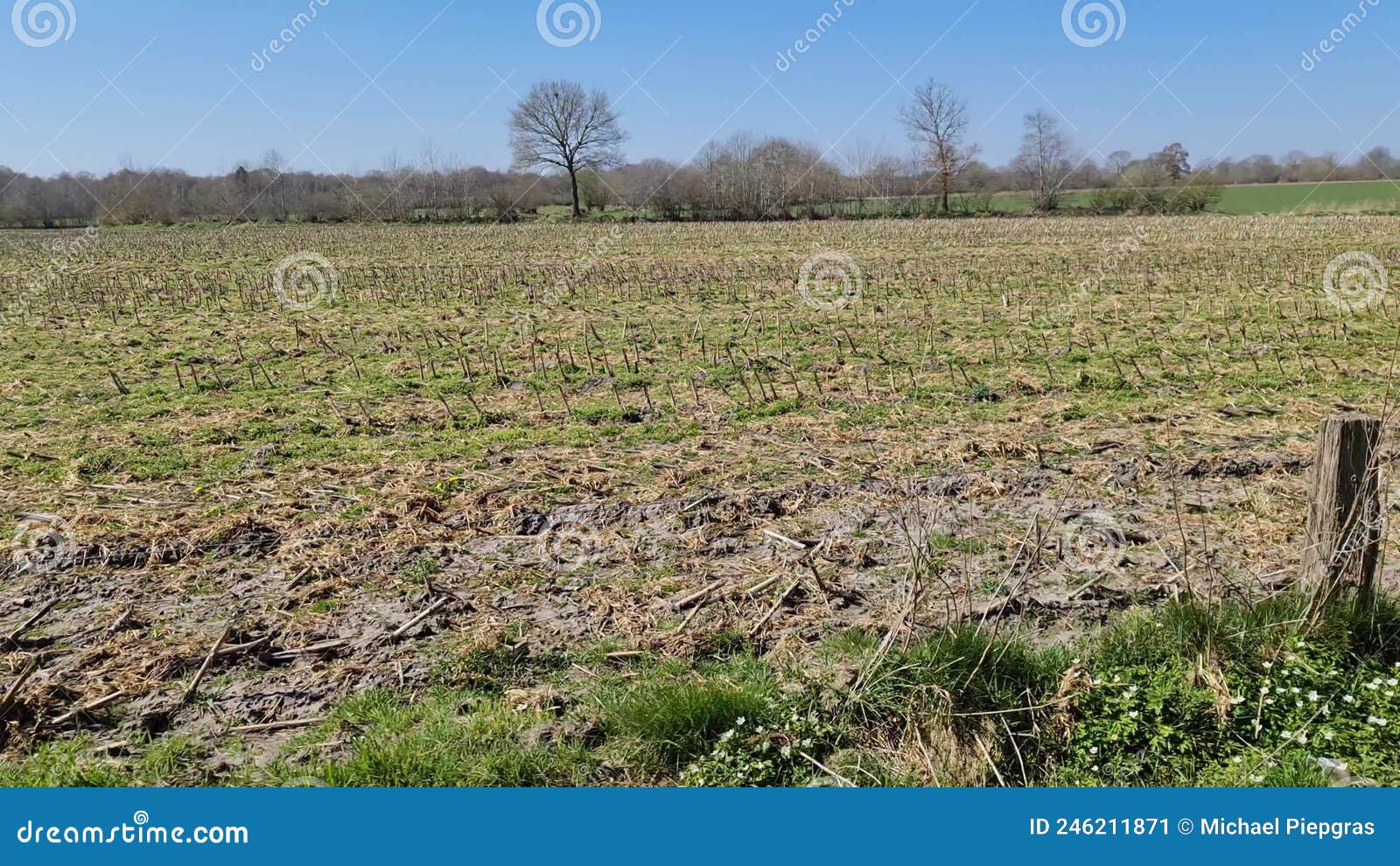 Side View of Agricultural Fields and Meadows Passing by Stock Video ...