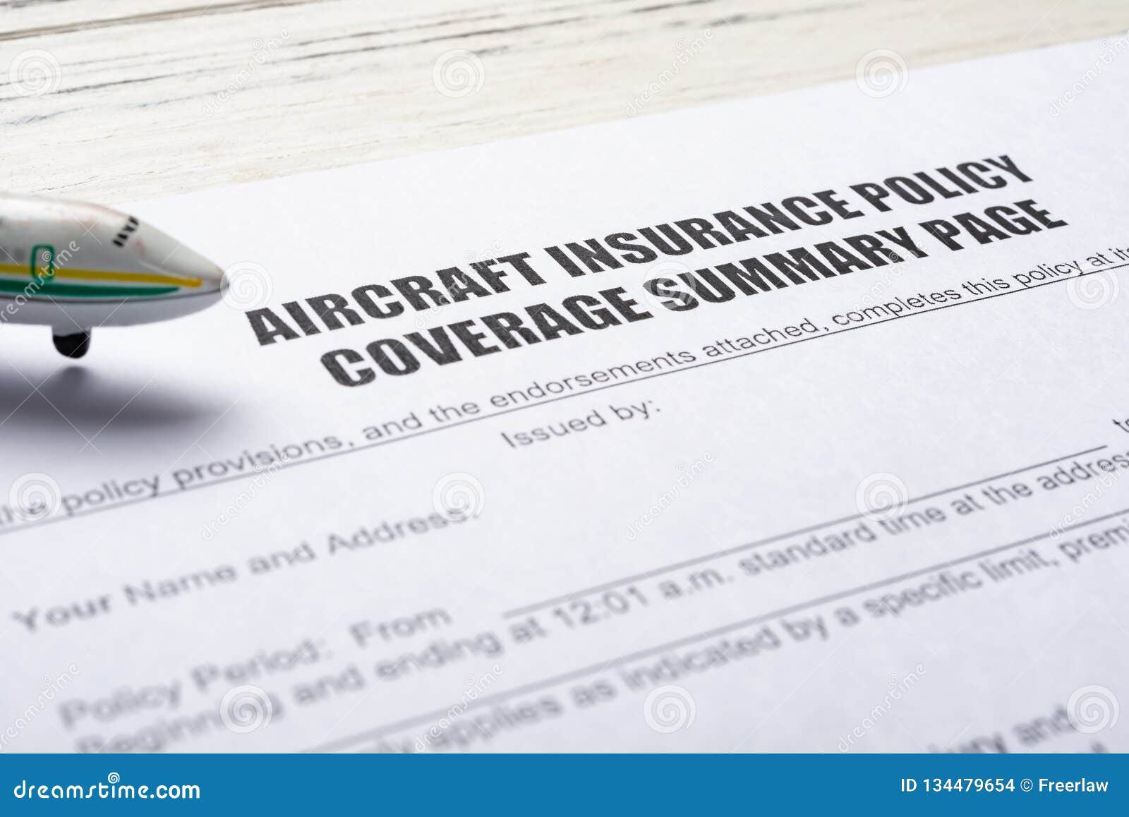 Aircraft Insurance Policy Coverage Form and an Airplane Model Concept ...