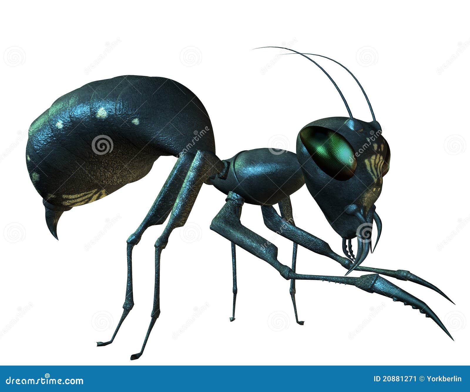 Side view of an ant stock illustration. Illustration of view - 20881271