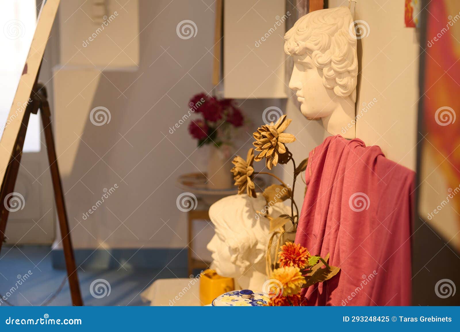 Side View of Apollo Plaster Head on the Desk, Displayed for Learning ...