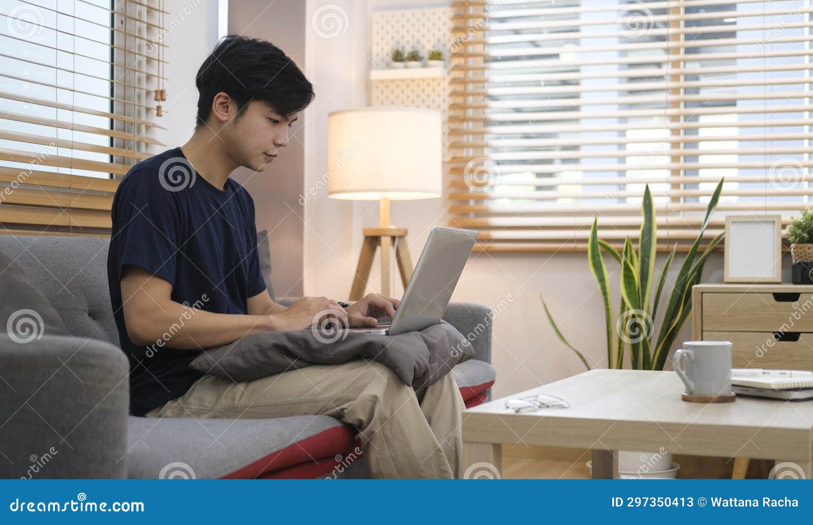 Side View Asian Man Sitting on Sofa and Using Laptop Computer Stock ...