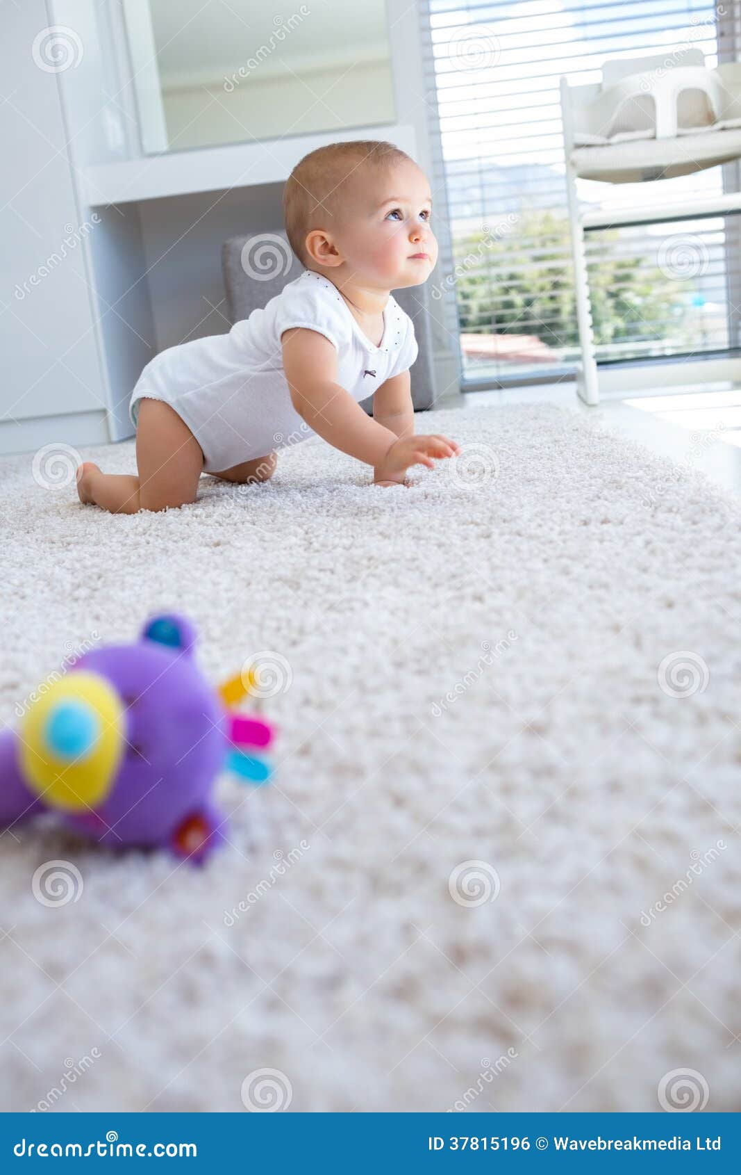 Side View of a Baby Crawling on Carpet Stock Photo - Image of childhood ...