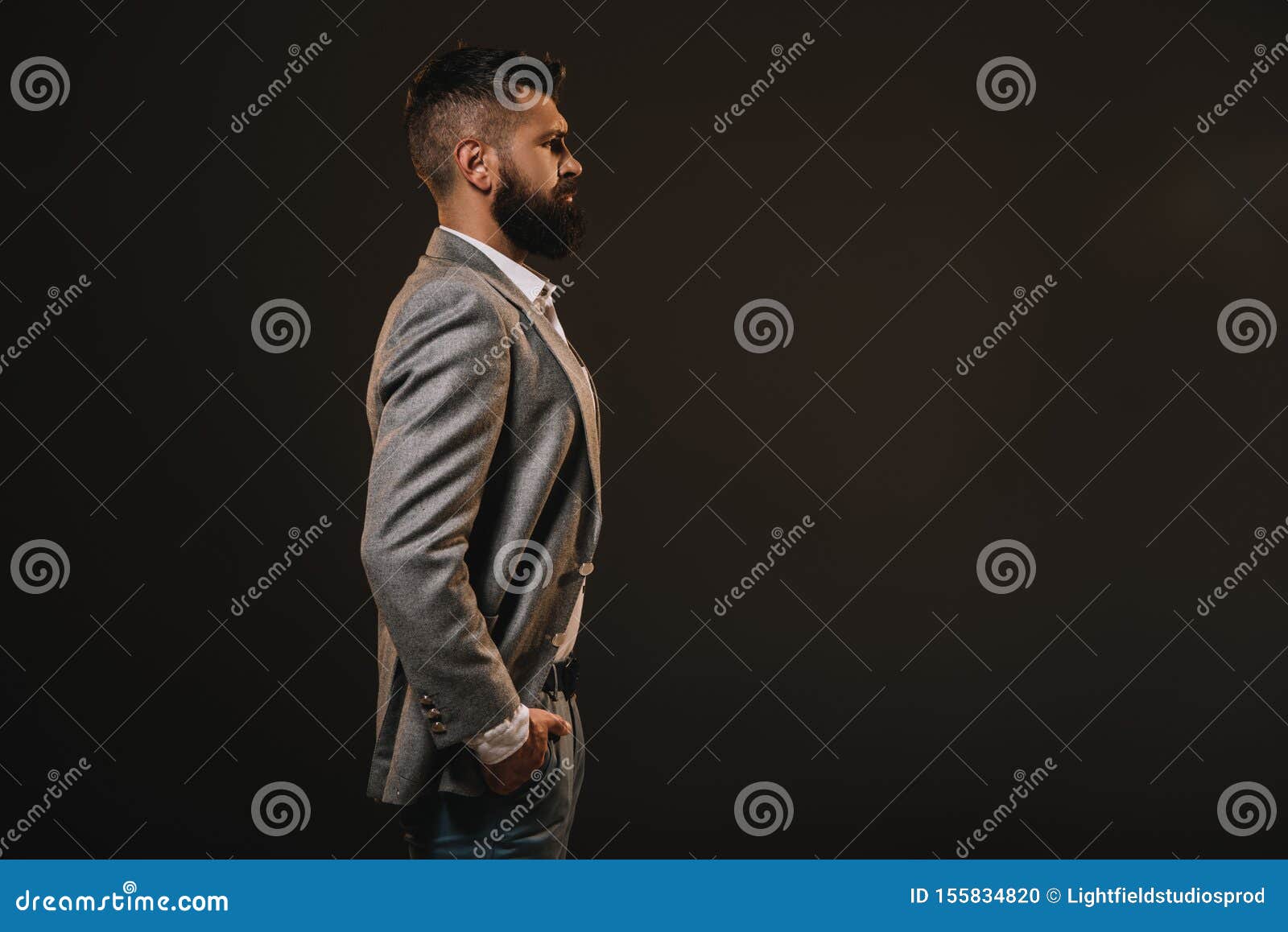 Side View of Beard Businessman Posing in Gray Jacket Isolated Stock ...