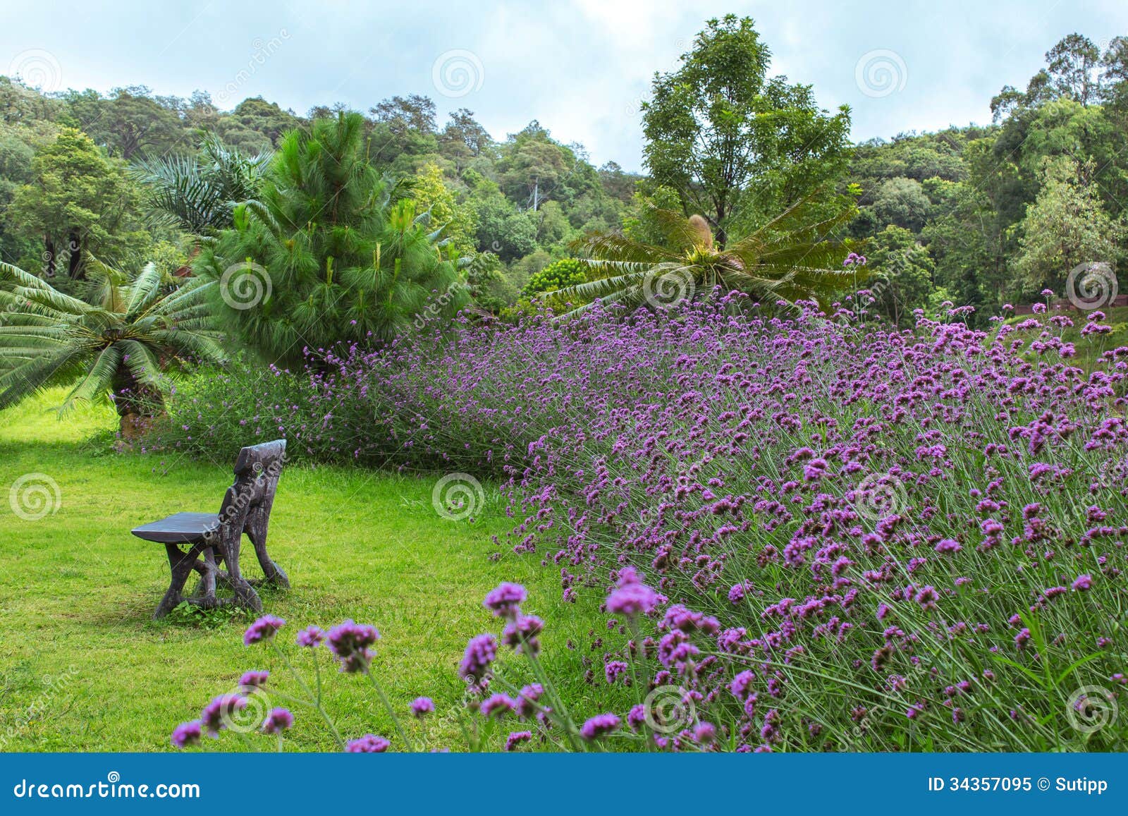 Side View of Bench in Garden Stock Image - Image of durable ...