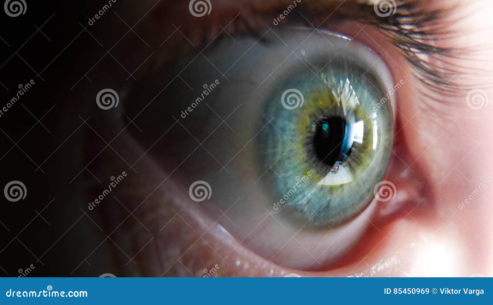 Side View Blue Green Human Eye Stock Photos - Free & Royalty-Free Stock ...