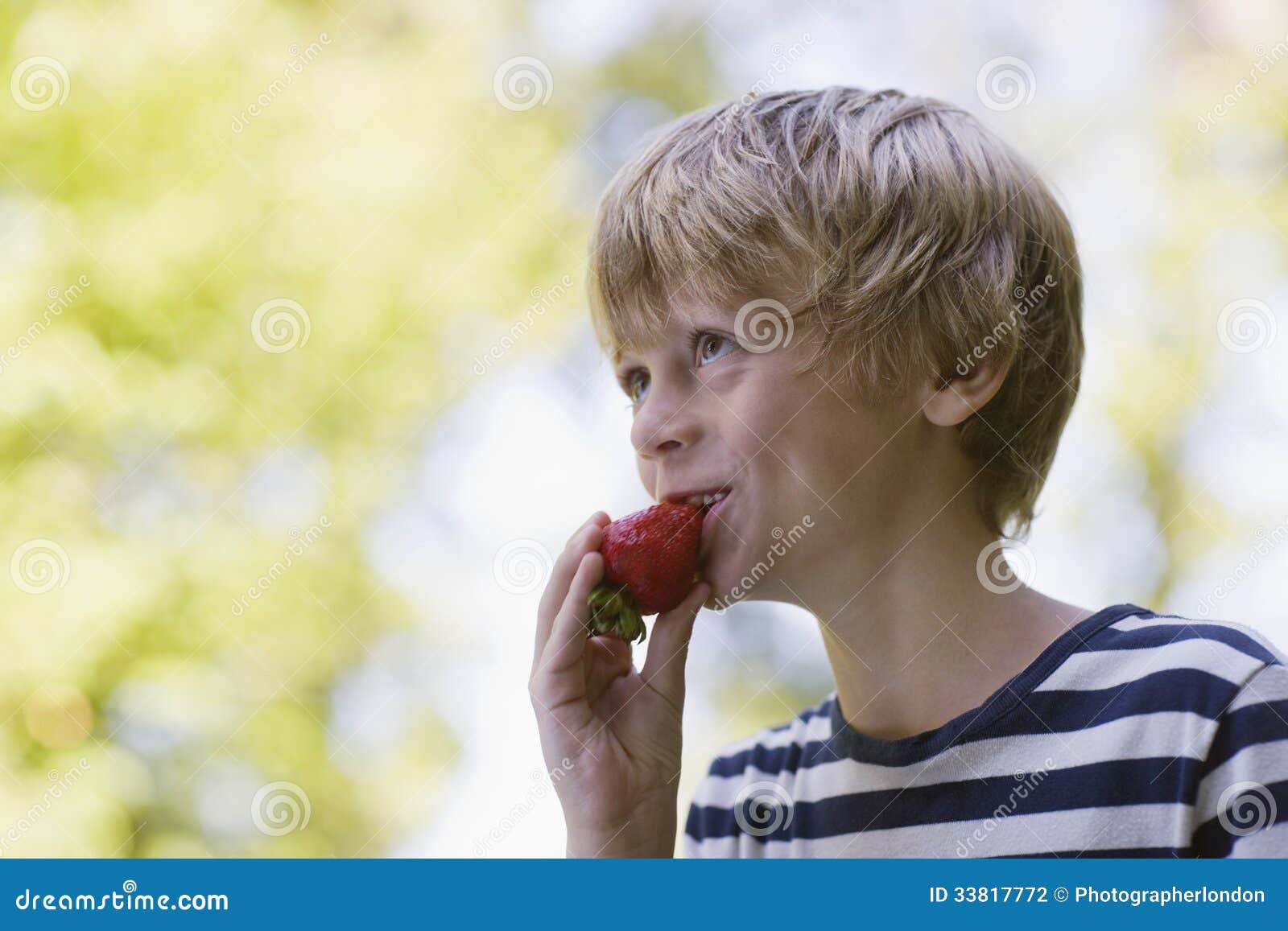 Side View of Boy Eating Strawberry Outdoors Stock Photo - Image of ...