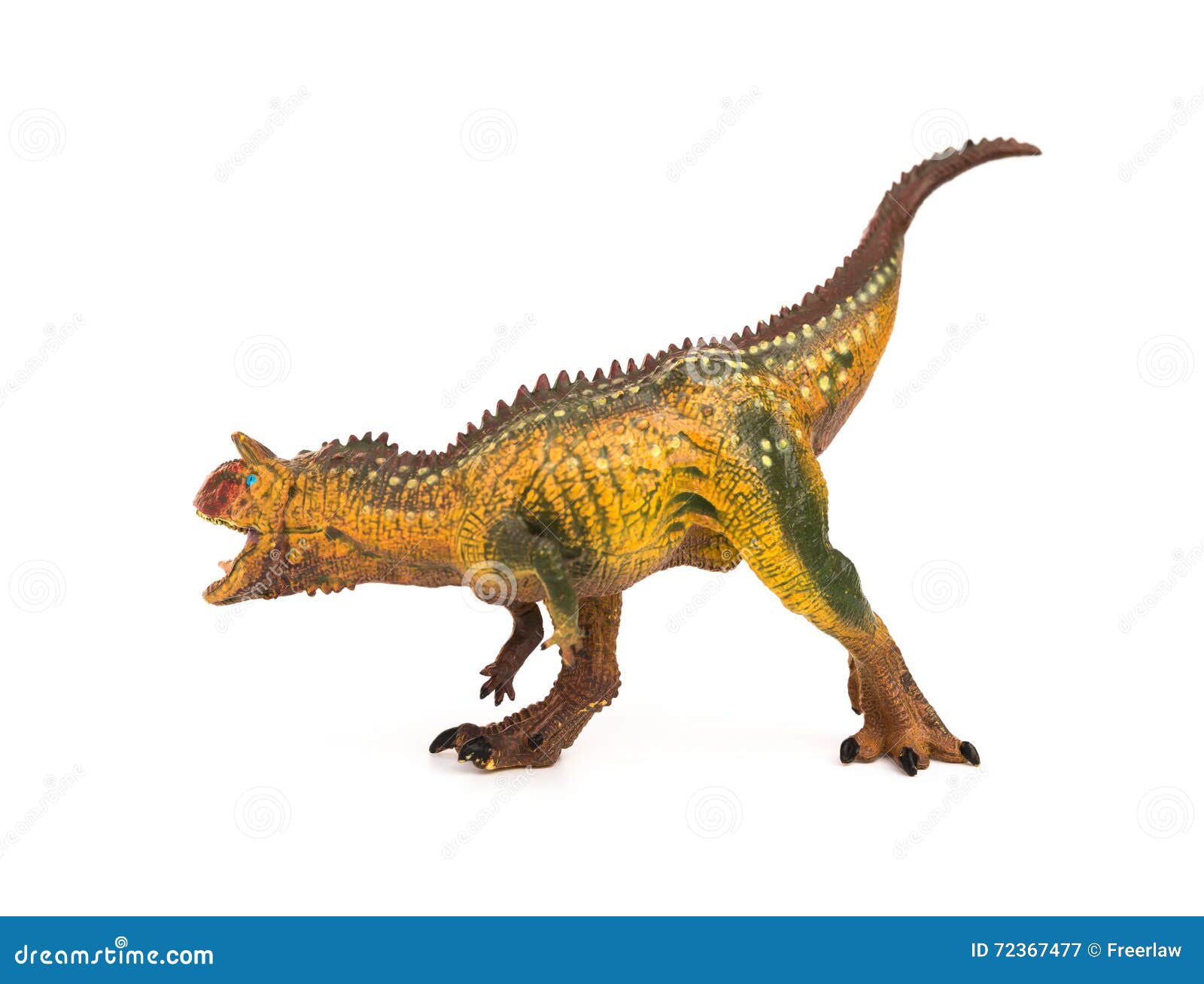 Side View Brown Carnotaurus Toy On White Background Stock Image ...