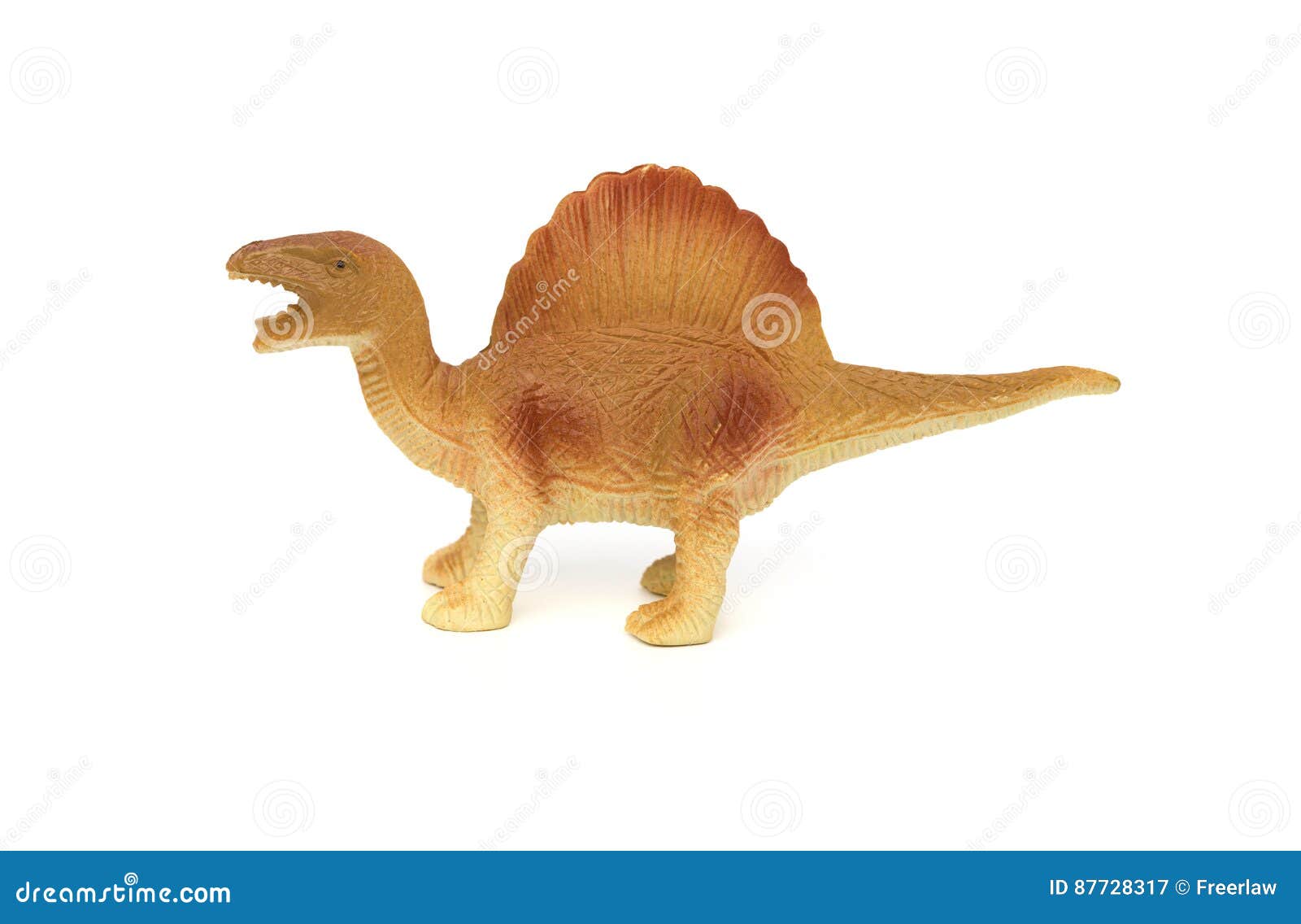 Top View Spinosaurus Skeleton With Shadow On White Background Royalty ...