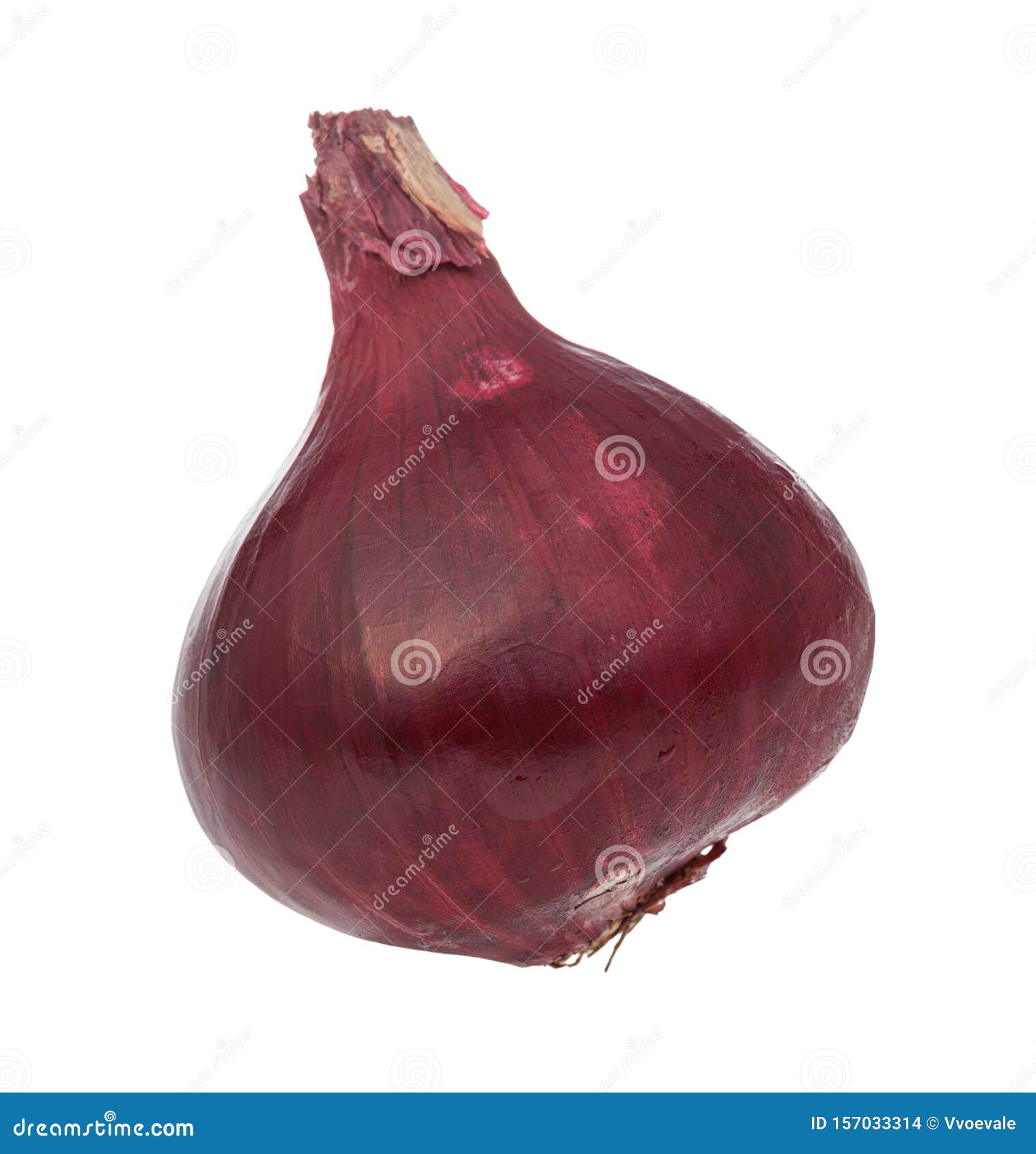 Side View of Bulb of Ripe Red Onion Isolated Stock Photo - Image of ...