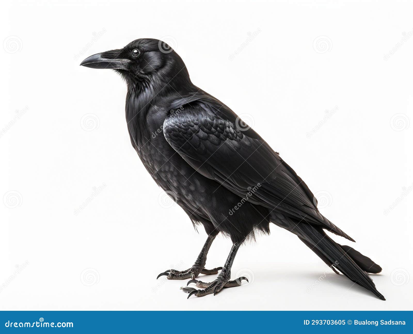 Carrion Cartoons, Illustrations & Vector Stock Images - 760 Pictures to ...