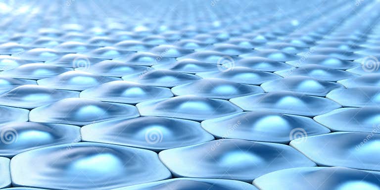 Side View of a Cell Pattern of Hexagonal Cells with Nuclei Stock ...