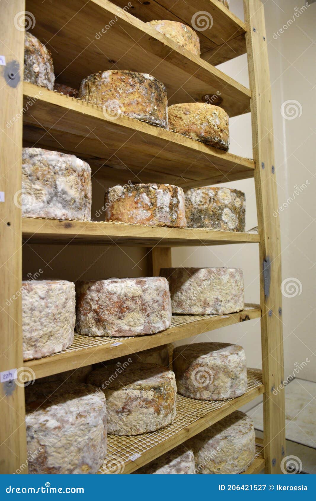 Side View of the Cheese Maturing Chamber in Different Phases. Stock ...