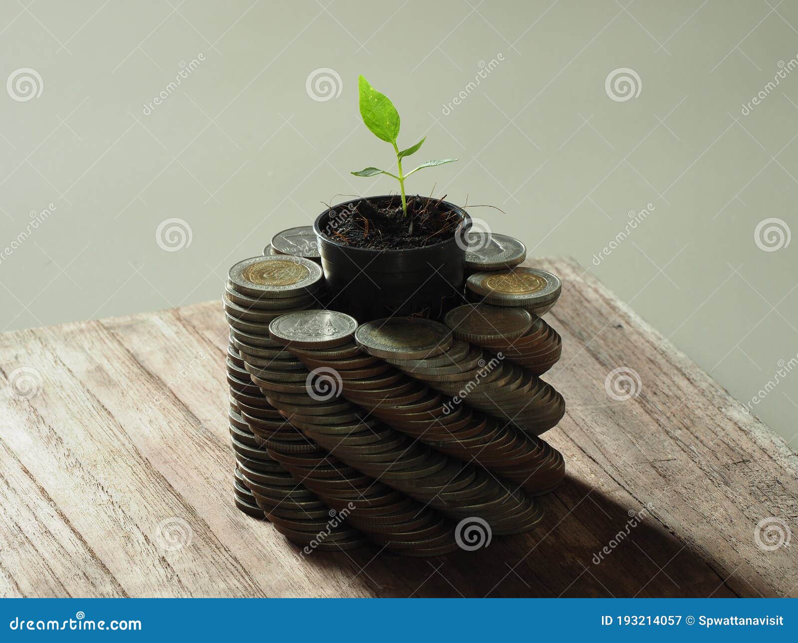 Side View of the Coins Stacked in a Circle with a Sprouting Sapling ...