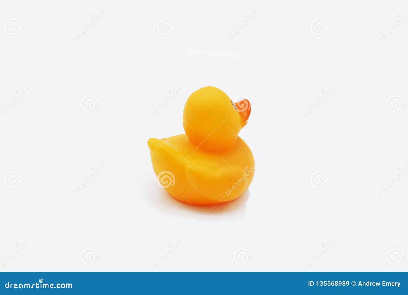 A Side View of a Colorful Orange Rubber Duck Isolated on a White ...
