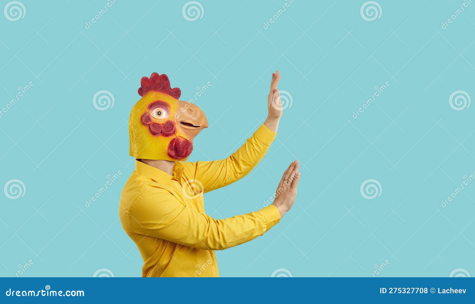 Funny Chickens Dancing