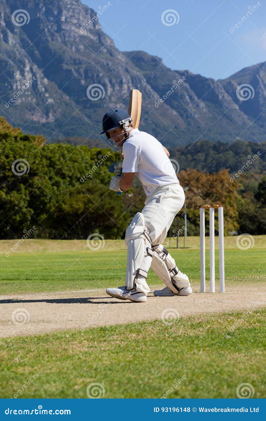 Side View of Cricket Player Playing on Field Stock Photo - Image of ...