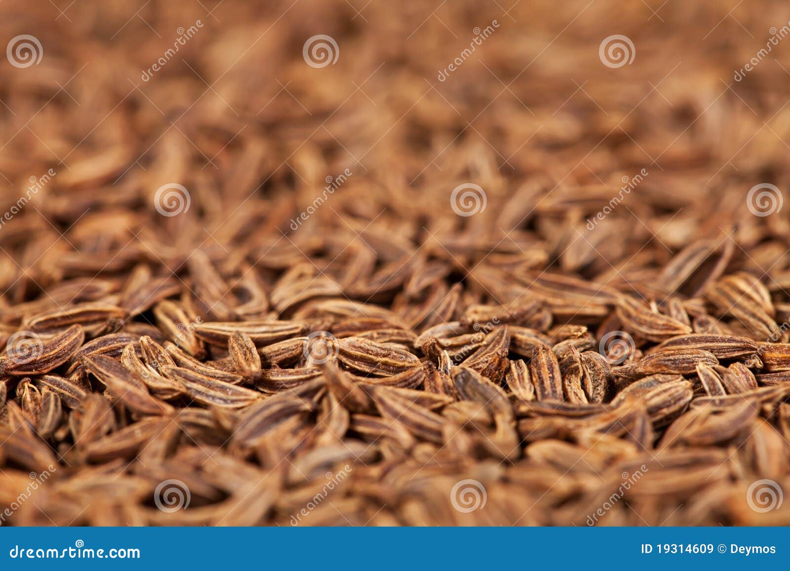 Side view of cumin seeds stock image. Image of natural - 19314609