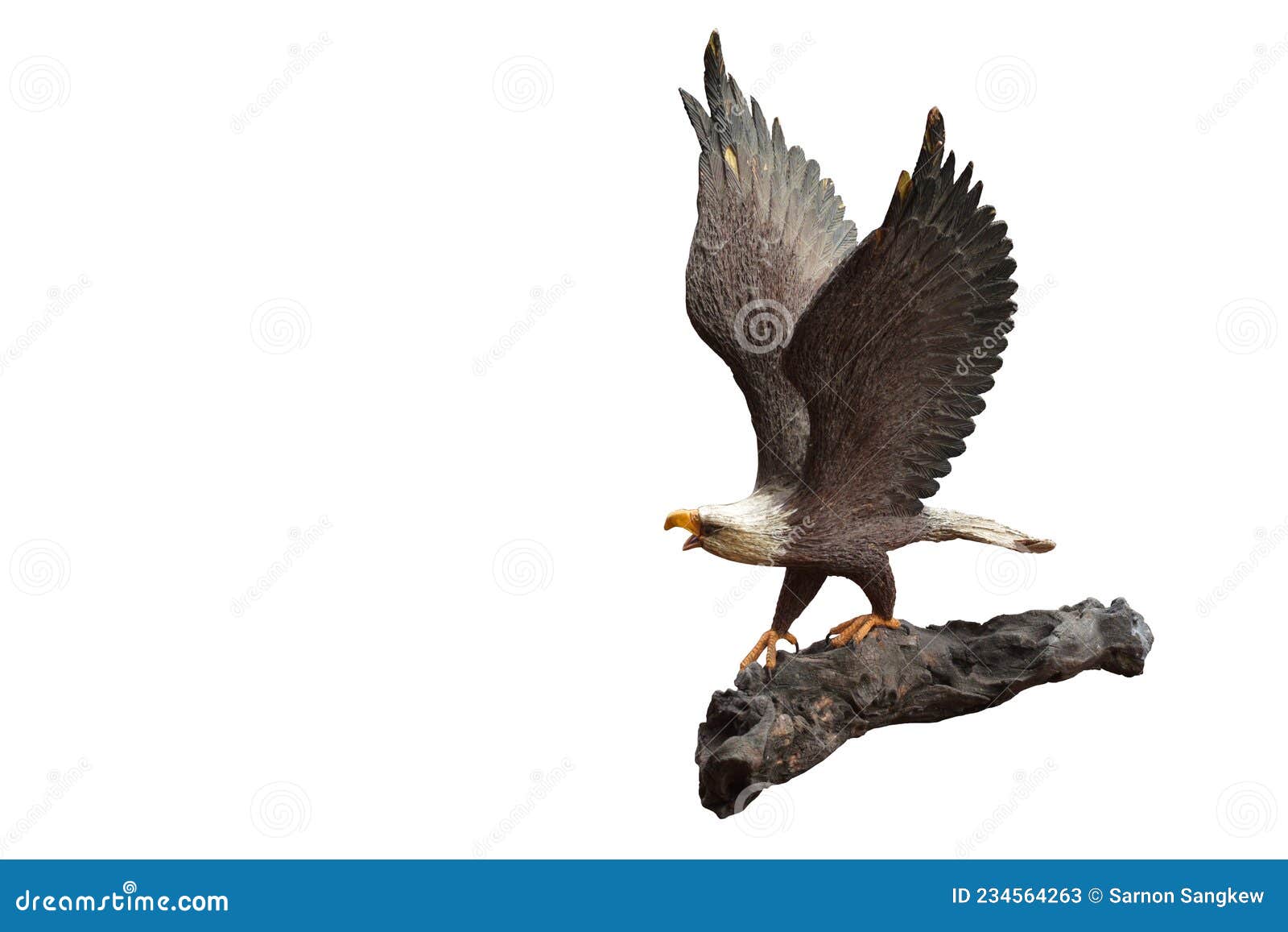 Logs On White Background, Studio Photo, Acacias Tree Stock Photography ...