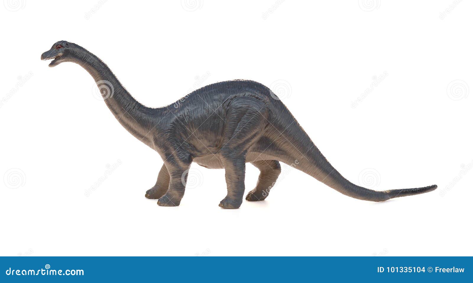 Diplodocus Stock Photos - Royalty Free Stock Images