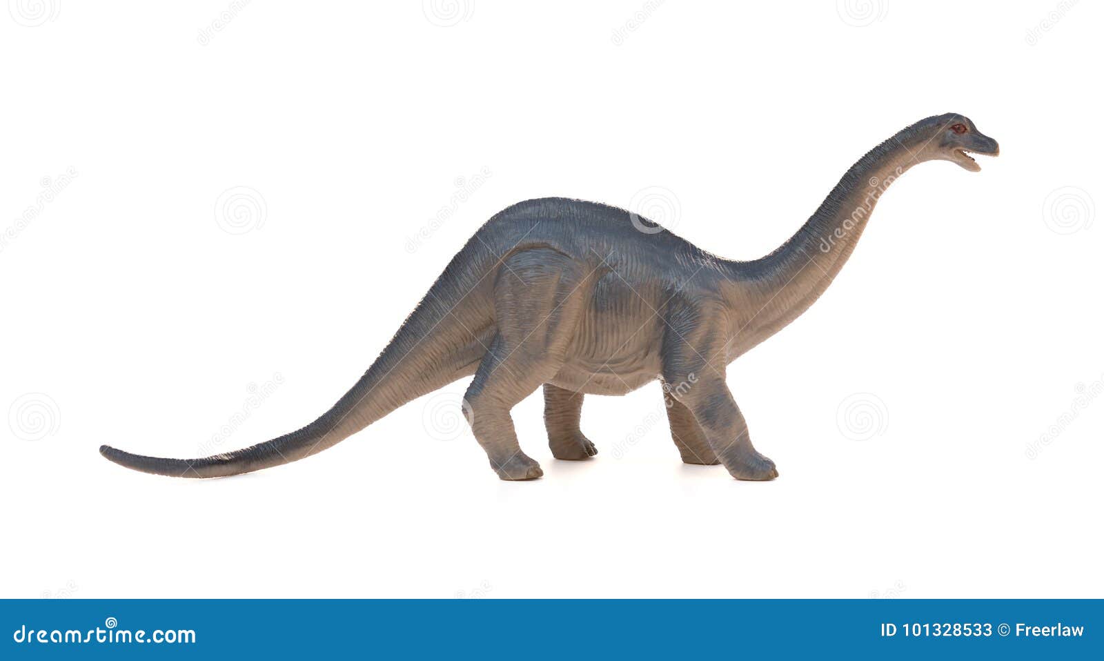 Side View Diplodocus Toy on White Background Stock Image - Image of ...