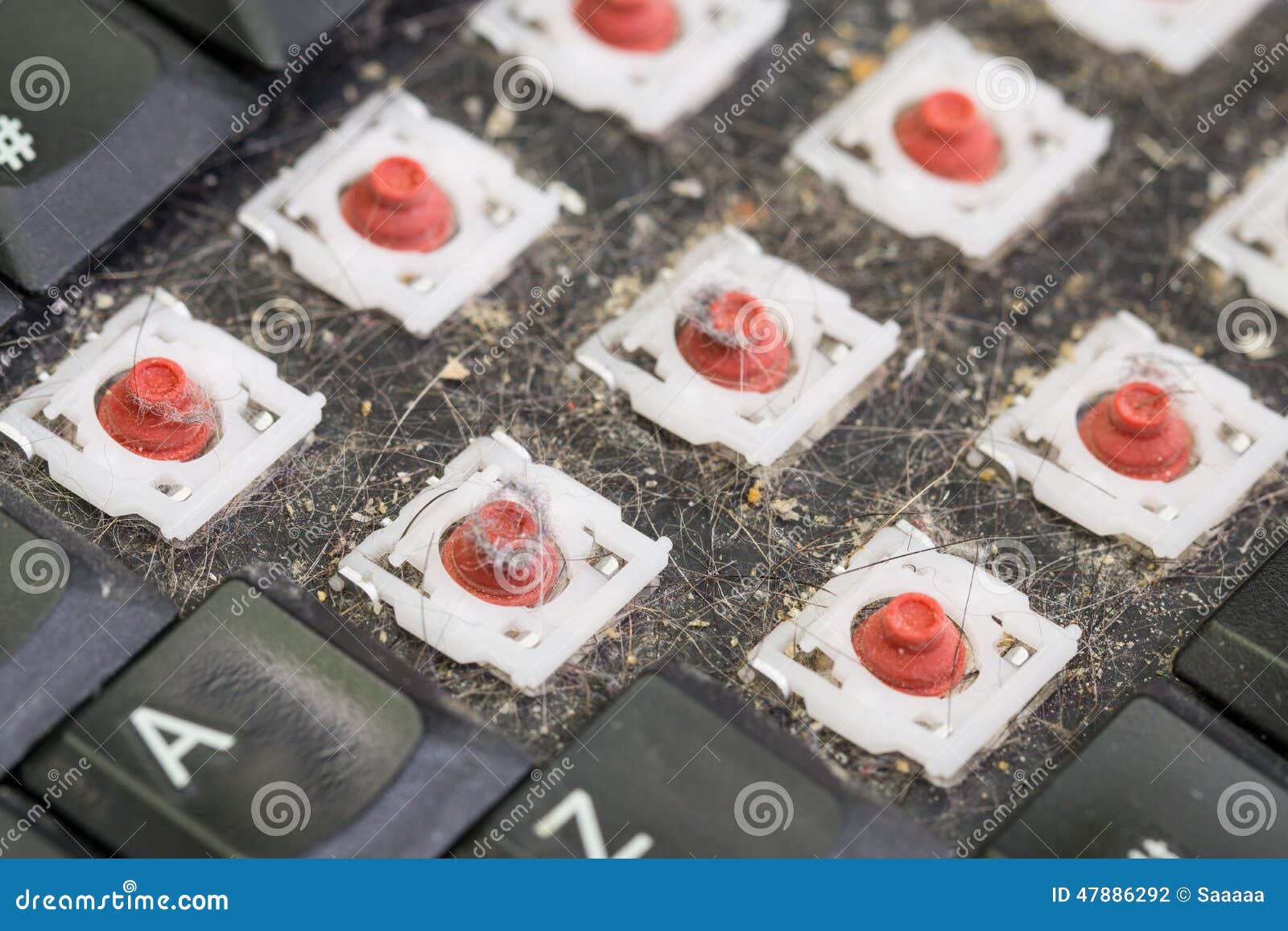 Side View of Dismantled Dirty Keyboard, Closeup Stock Photo - Image of ...