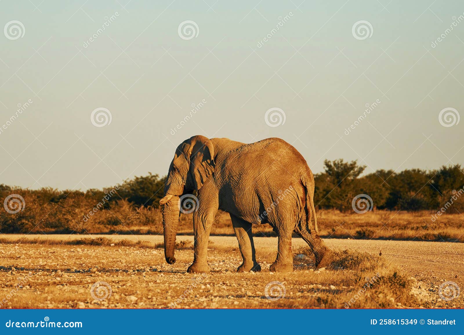 View Of The Elephant Waterfall In Vietnam Royalty-Free Stock Image ...