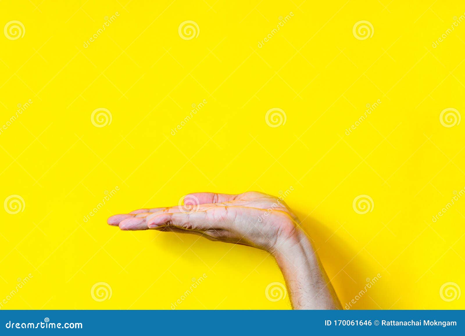 Side View of Empty Open Palm Hand Gesture of Male Hand Isolated on ...