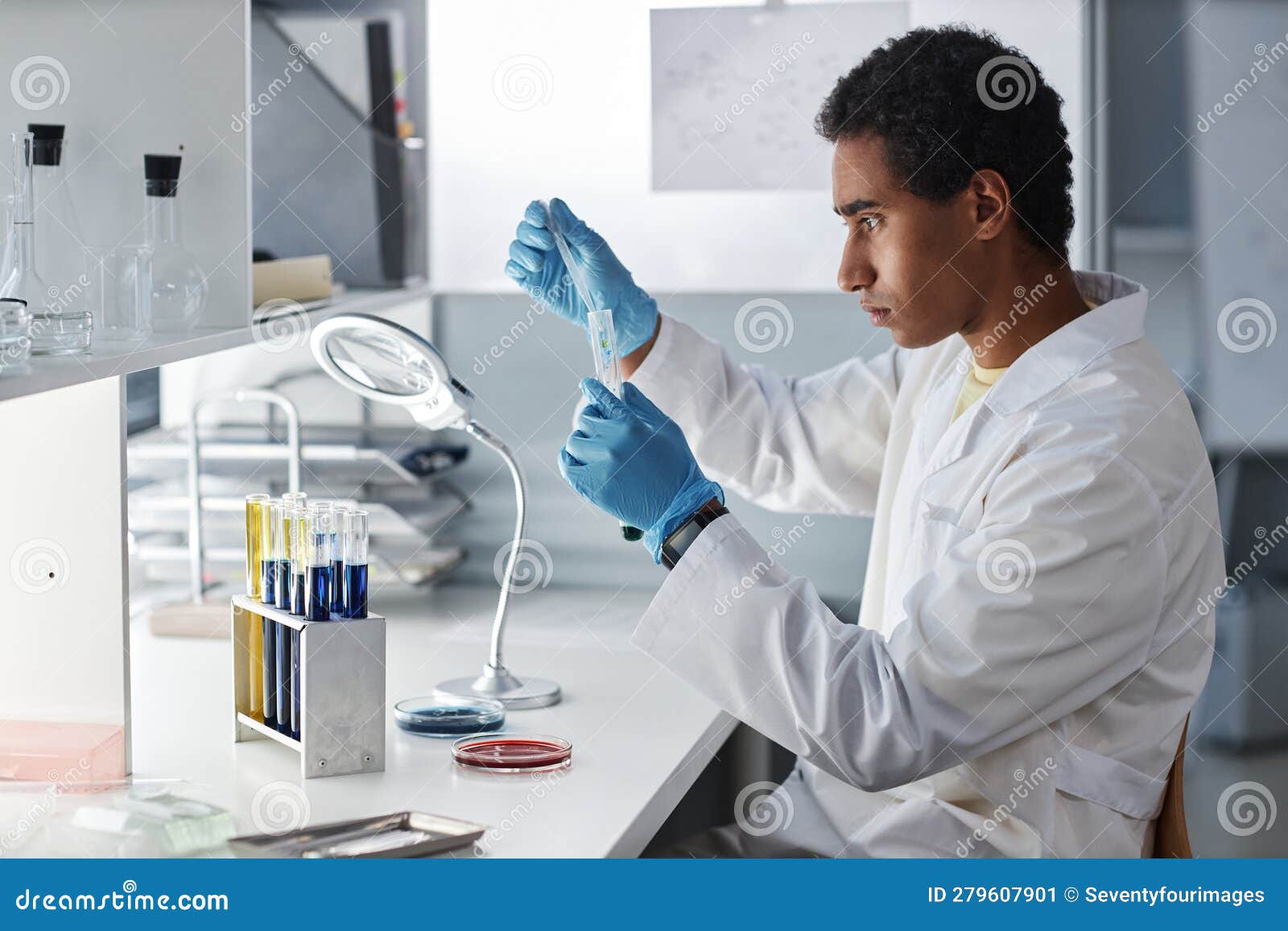 Side View Ethnic Young Scientist Doing Tests in Modern Laboratory Stock ...
