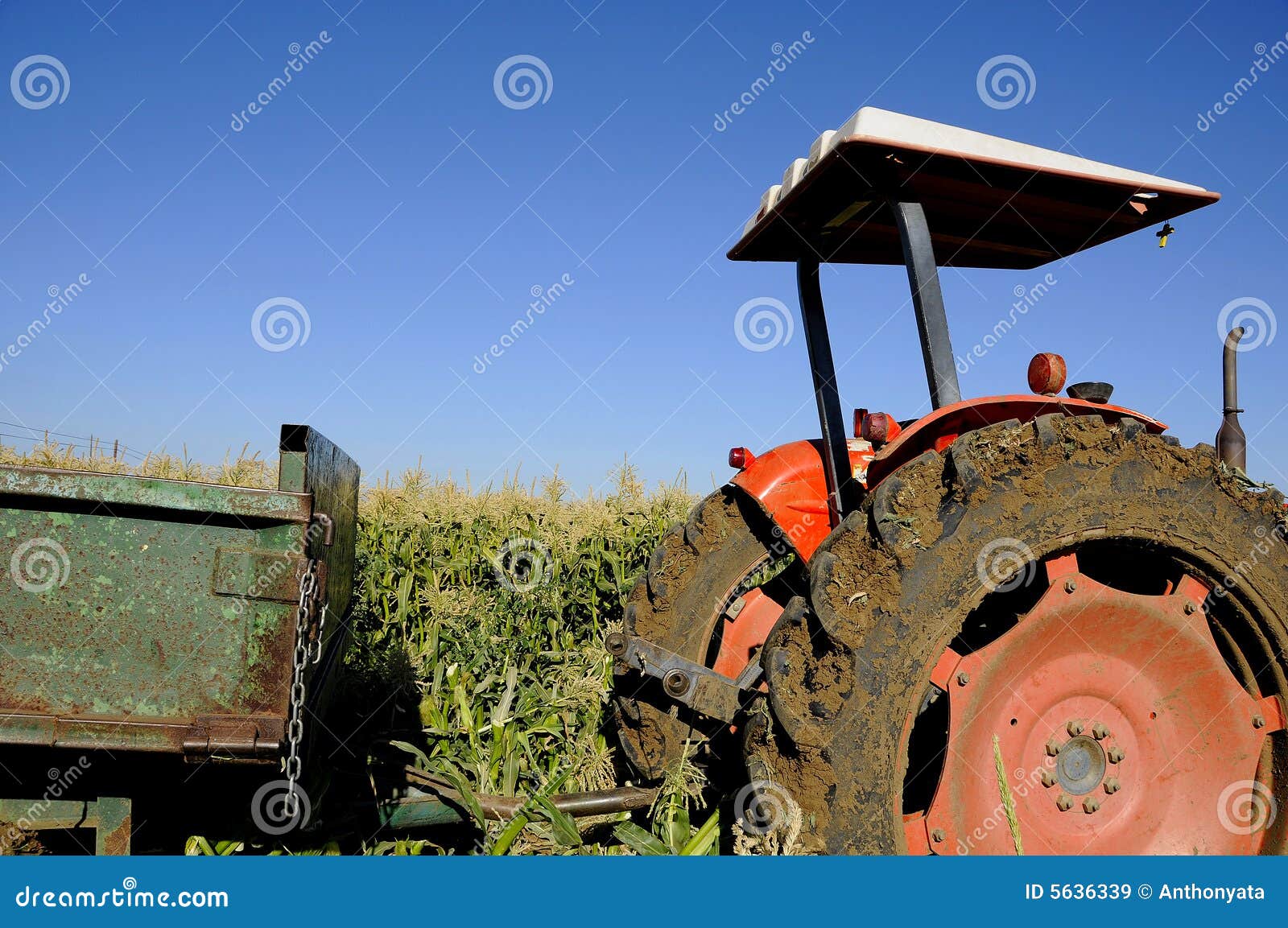 Side View Of Farm Tractor Picture. Image: 5636339