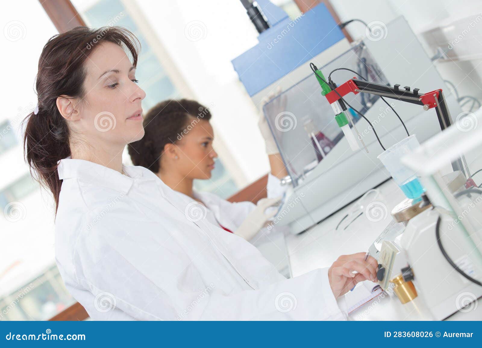Side View Female Scientists at Work in Laboratory Stock Photo - Image ...