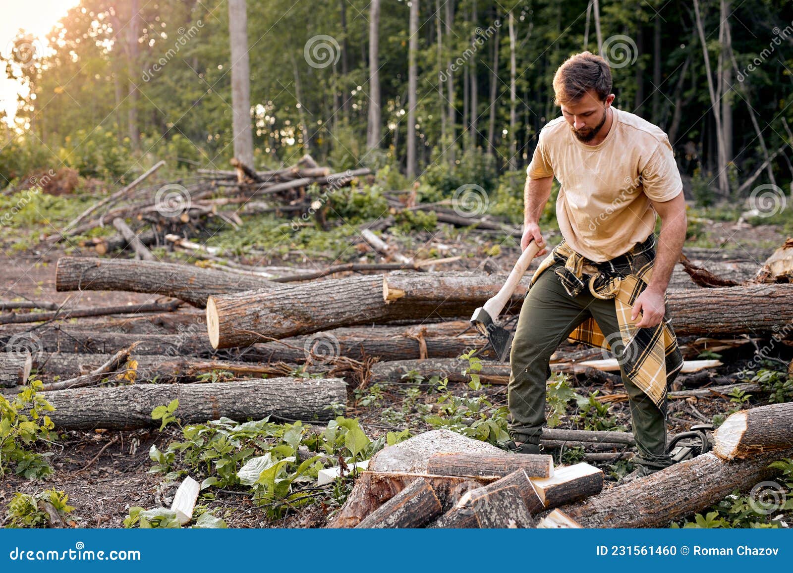 Side View on Focused Male Lumberman Working with Logs Chopping Trees ...