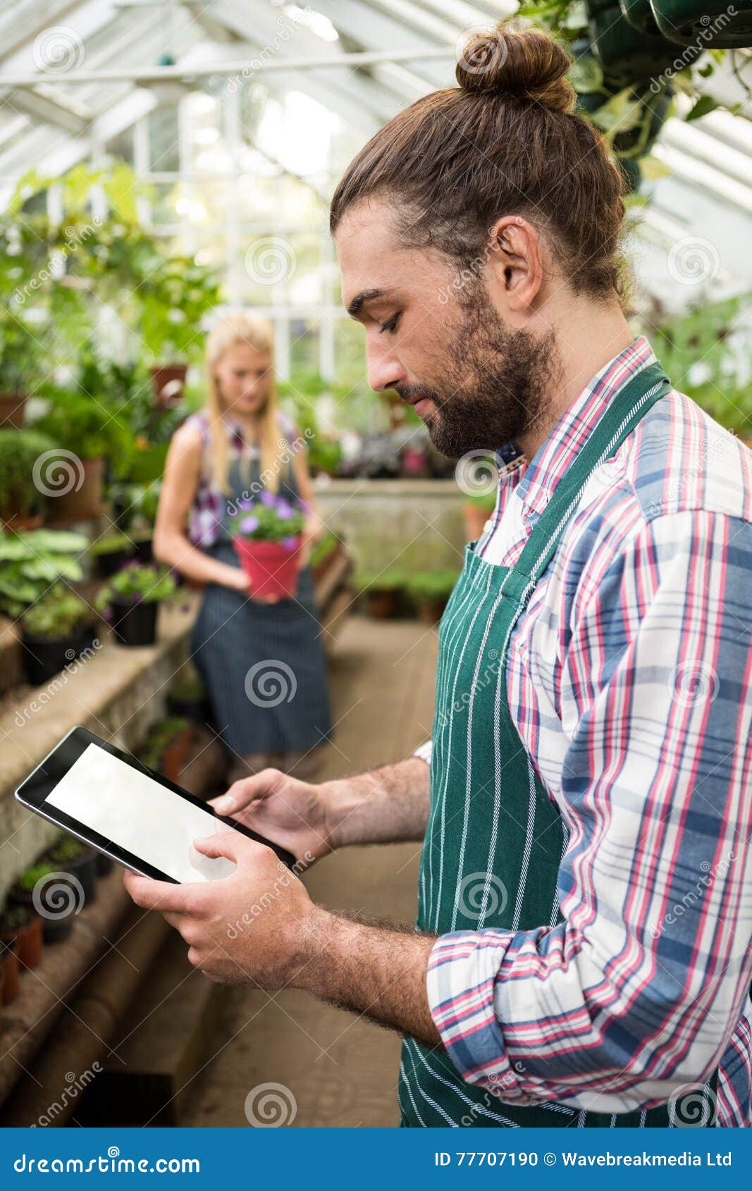 Side View of Gardener Using Digital Tablet at Greenhouse Stock Photo ...