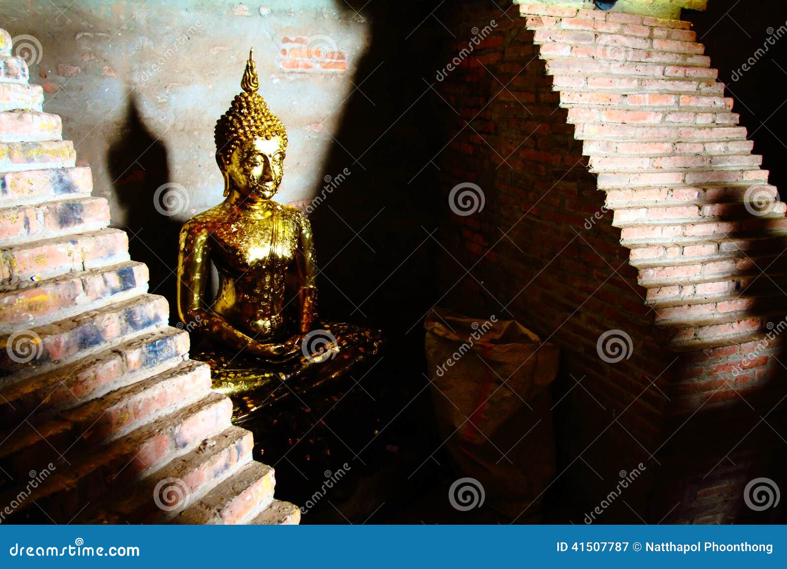 The Side View of Golden Buddha Statue in the Shadow Stock Image - Image ...