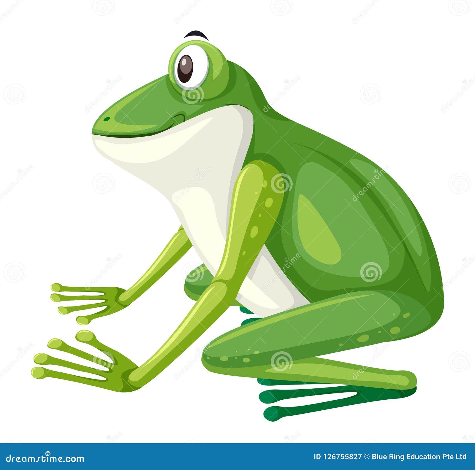 Side view of green frog stock vector. Illustration of graphic - 126755827