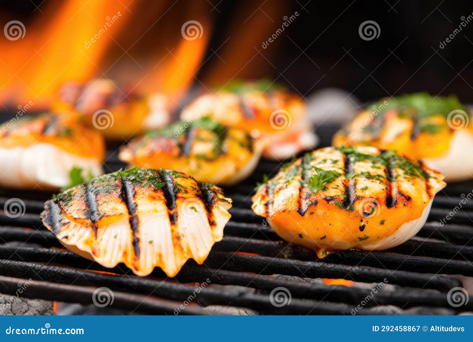 Side View of Grilled Scallops with Herbs Stock Image - Image of ...