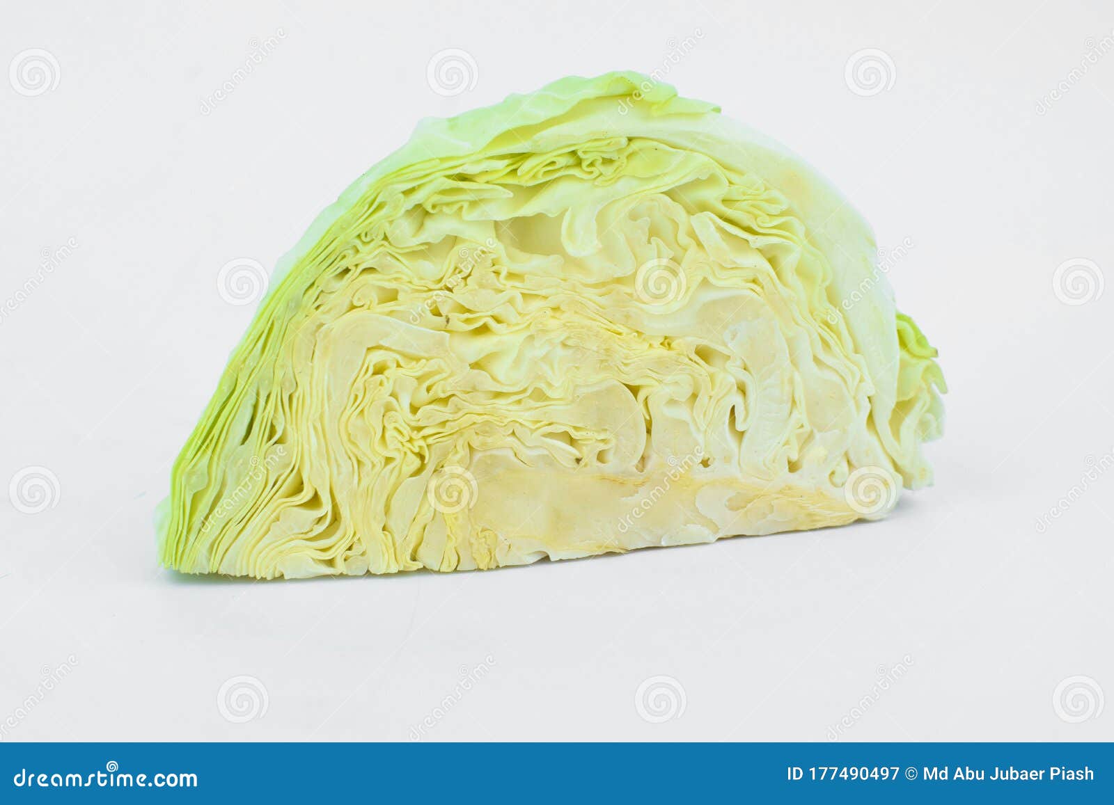 Side View of a Half Cut Fresh Green and White Cabbage Vegetable ...
