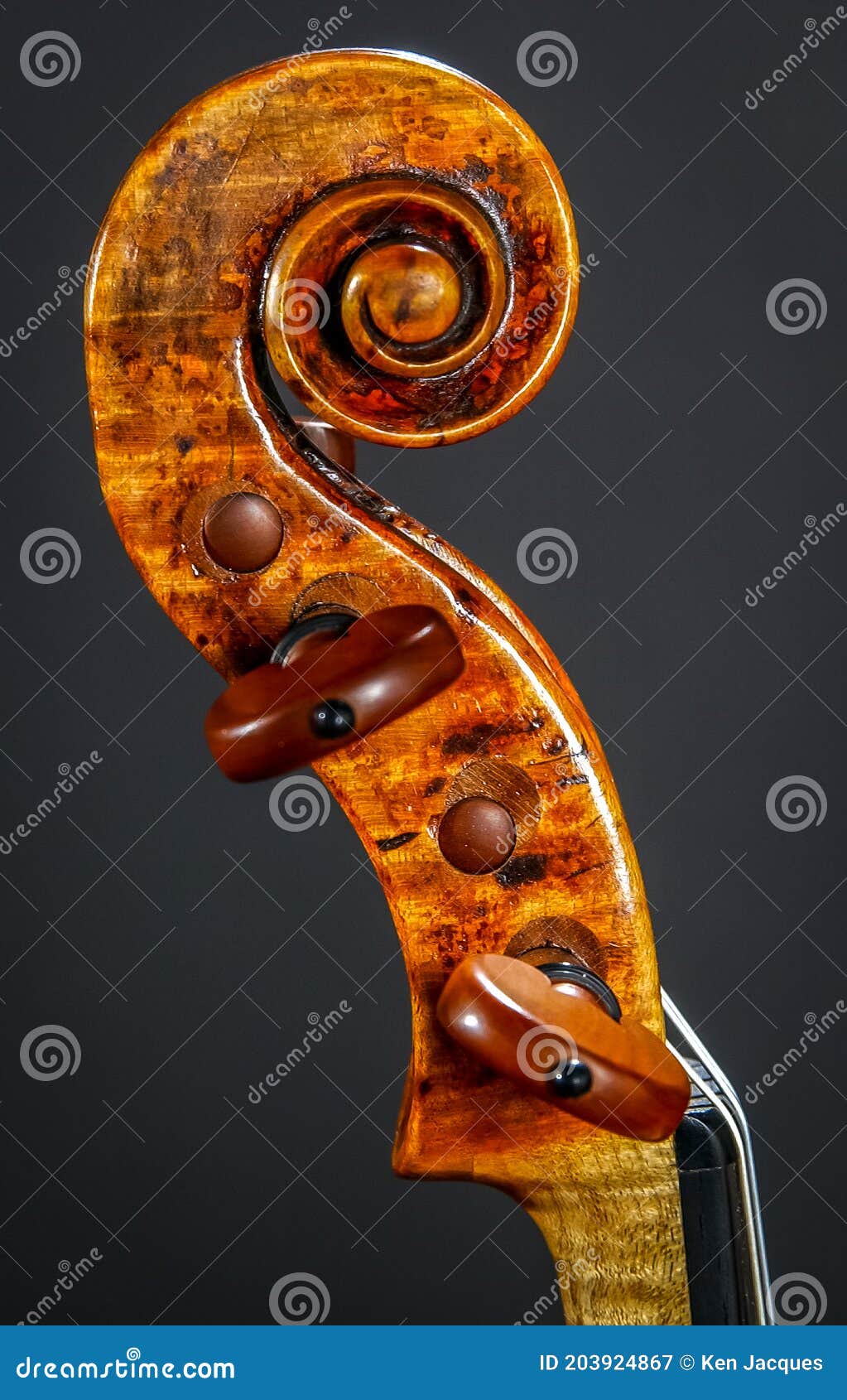 Side View of Historic Violin Neck with Strings Stock Image - Image of ...