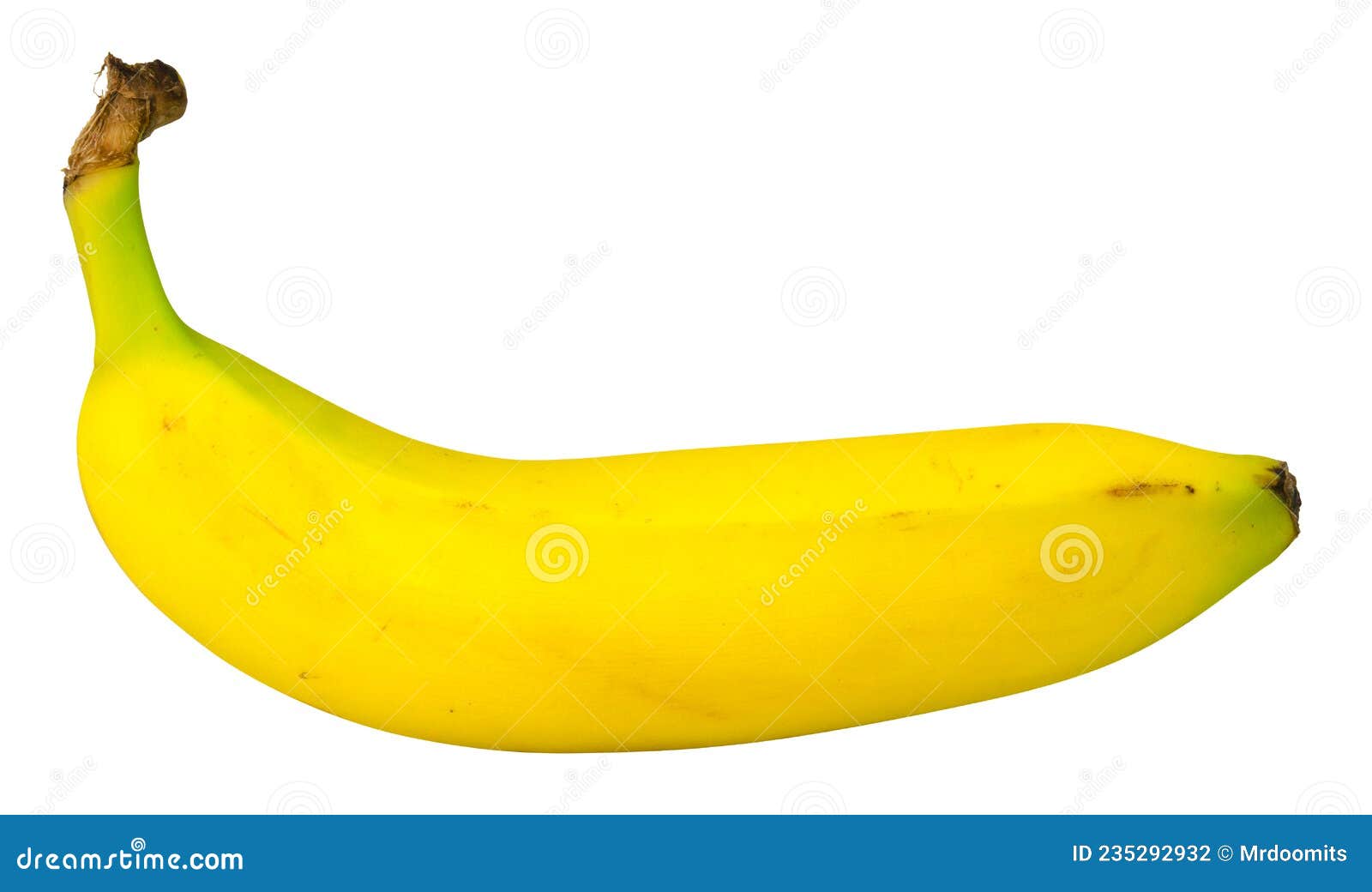 Isolated Organic Banana stock photo. Image of clipping - 235292932