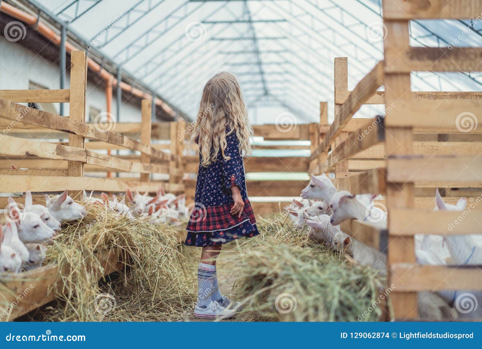 Side View of Kid Standing in Stable Stock Photo - Image of people ...