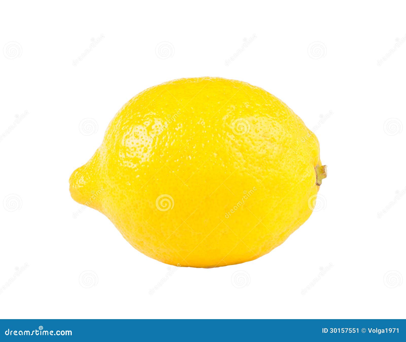 Lemon stock image. Image of isolated, vegetarian, eating - 30157551