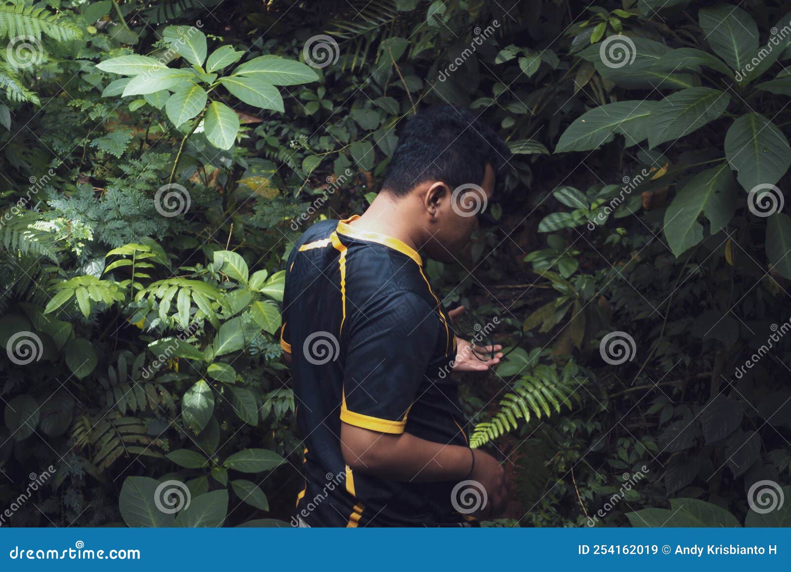 A Man, Alone in a Lush Forest Stock Image - Image of male, alone: 254162019