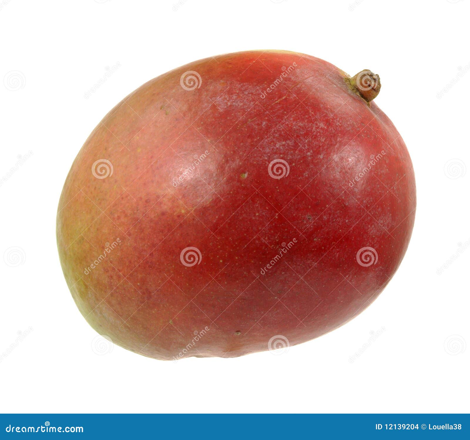 Side view mango stock photo. Image of favorite, frozen - 12139204