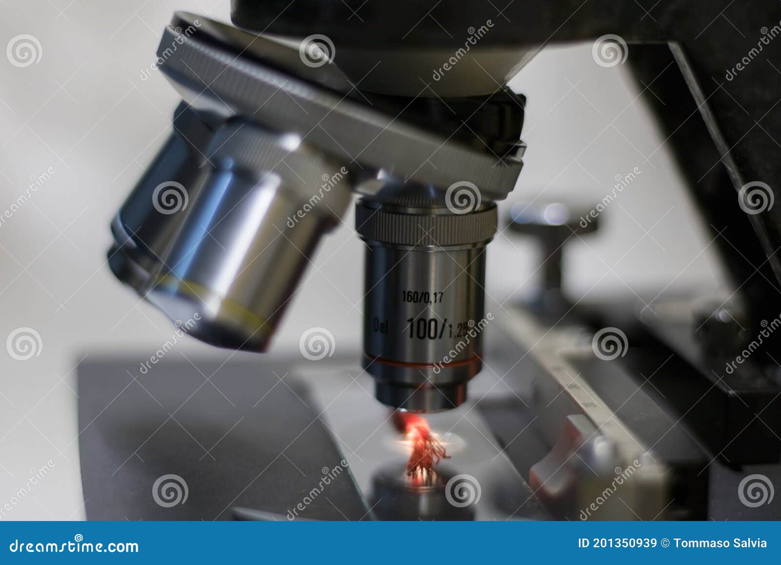 Side View of a Microscope while Analyzing a Lump of Intertwined Threads ...